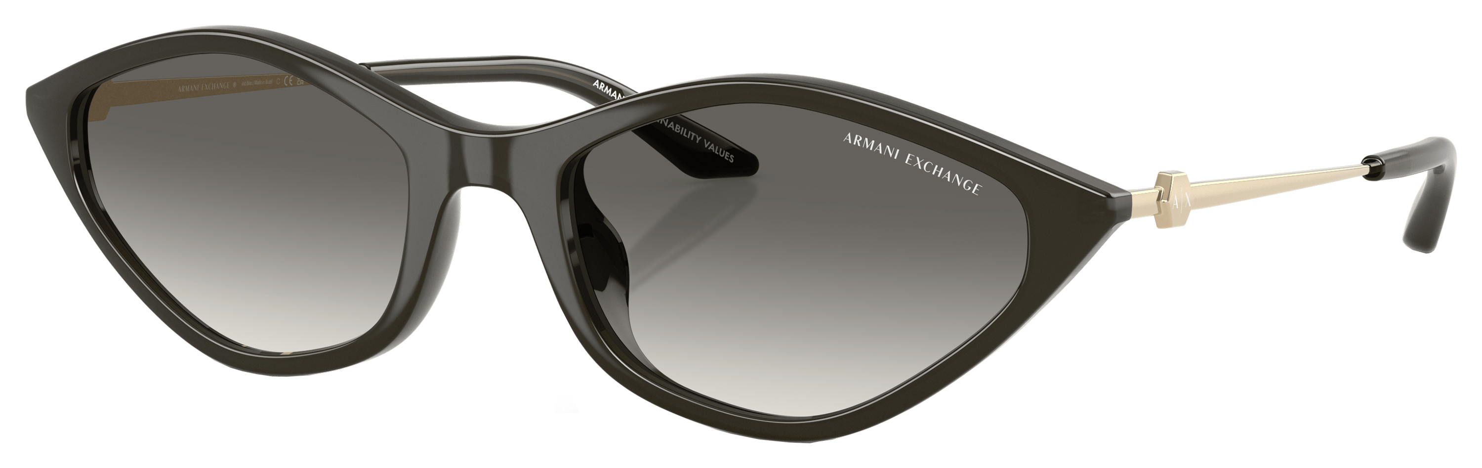 Armani Exchange AX4152SU Sunglasses for Ladies | Cabela's